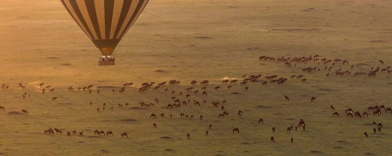 How Does the Great Migration Work? - The Great Wildebeest Migration